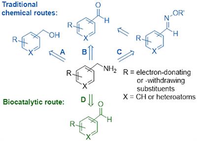 Frontiers | Characterization of a Putrescine Transaminase From ...