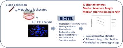 Frontiers | Developing BIOTEL: A Semi-Automated Spreadsheet for ...