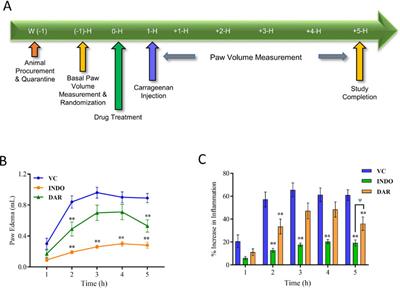 Frontiers | Anti-Inflammatory and Anti-Arthritic Efficacies of an ...