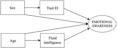 Frontiers | The Relationship Between Trait Emotional Intelligence ...