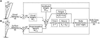 Frontiers | Sensory Re-weighting for Postural Control in Parkinson’s ...