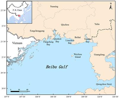 Frontiers | Historical Occurrence of Algal Blooms in the Northern Beibu ...