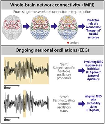 Frontiers | Predicting the Response to Non-invasive Brain Stimulation ...