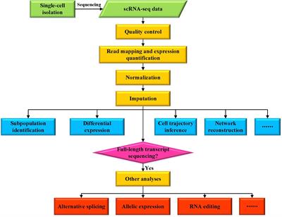 Frontiers | Single-Cell RNA-Seq Technologies and Related Computational ...