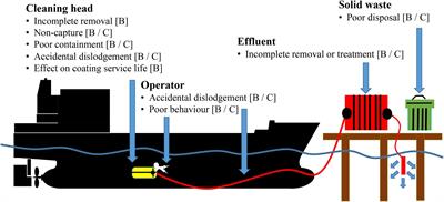 Frontiers | Vessel In-Water Cleaning or Treatment: Identification of ...