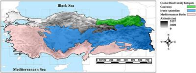 Frontiers | Patterns of Endemism in Turkey, the Meeting Point of Three ...