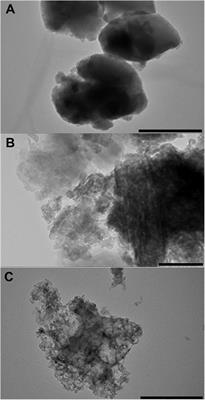 Frontiers | Zeolites as Carriers of Antitumor Ribonuclease Binase