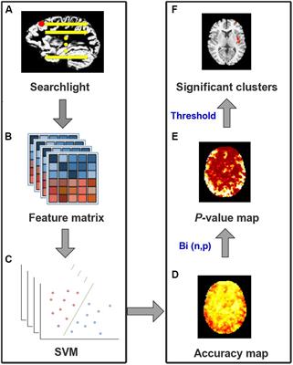 Frontiers | Characterizing the Structural Pattern Predicting Medication ...
