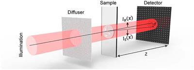Frontiers | Quantitative Phase Imaging Camera With a Weak Diffuser