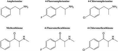 Frontiers | Para-Halogenation Affects Monoamine Transporter Inhibition ...