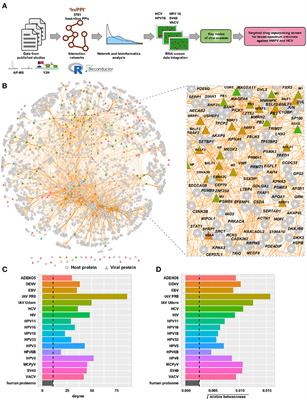 Frontiers | Common Nodes of Virus–Host Interaction Revealed Through an ...