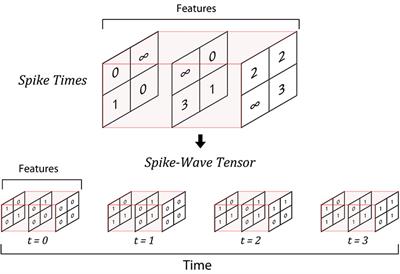 Frontiers | SpykeTorch: Efficient Simulation of Convolutional Spiking ...