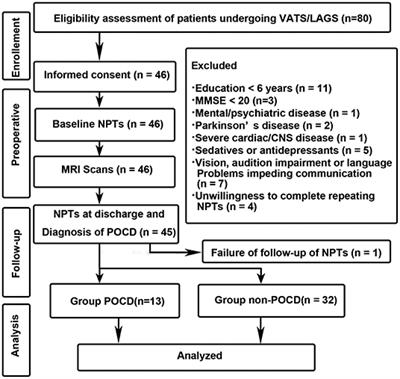 Frontiers | Premorbid Alterations of Spontaneous Brain Activity in ...