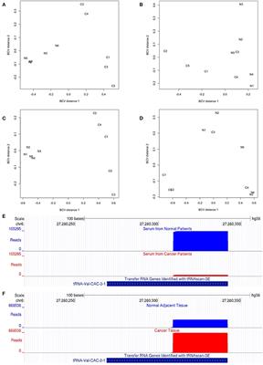 Frontiers | Profiling of tRNA Halves and YRNA Fragments in Serum and ...