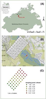 Frontiers | Small-Scale Spatial Variability of Soil Chemical and ...