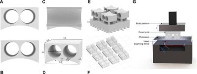 Frontiers | A 3D Printed Device for Low Cost Neural Stimulation in Mice