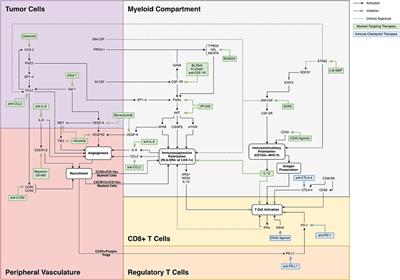 Frontiers | Targeting Myeloid Cells in Combination Treatments for ...