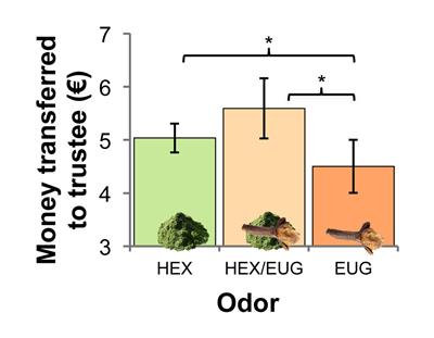 Frontiers | The Subtle Signaling Strength of Smells: A Masked Odor ...