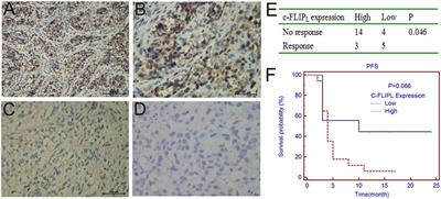 Frontiers | Down Regulation of c-FLIPL Enhance PD-1 Blockade Efficacy ...