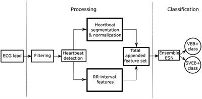 Frontiers | A Fast Machine Learning Model for ECG-Based Heartbeat ...
