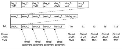 Frontiers | Lasting Effects of Low-Frequency Repetitive Transcranial ...