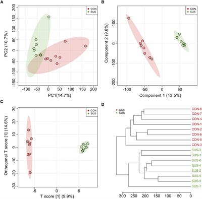 Frontiers | Simulated Weightlessness Perturbs the Intestinal ...