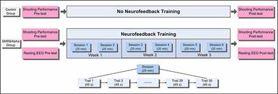 Frontiers | Efficacy, Trainability, and Neuroplasticity of SMR vs ...
