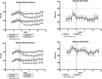 Frontiers | Activation of the Human Angiotensin-(1-12)-Chymase Pathway ...