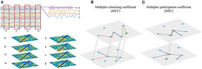 Frontiers | Functional Integration and Segregation in Multiplex Brain ...