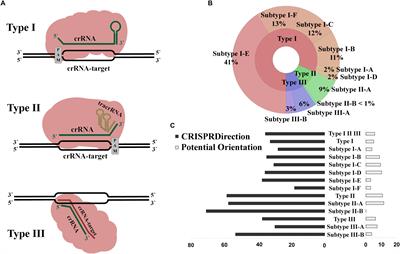 Frontiers | A Simple Criterion for Inferring CRISPR Array Direction