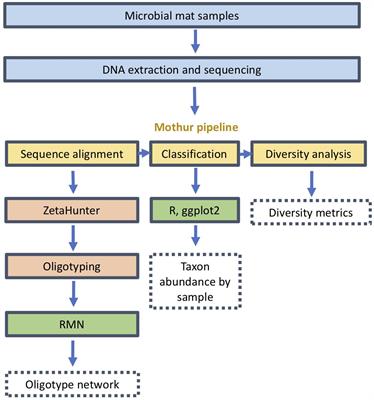 Frontiers | Fine-Scale Biogeography and the Inference of Ecological ...