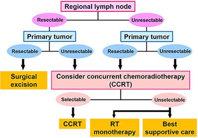 Frontiers | Continued Chemotherapy After Concurrent Chemoradiotherapy ...