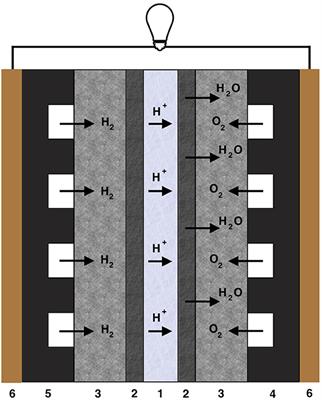 Frontiers | Flow Field Patterns for Proton Exchange Membrane Fuel Cells