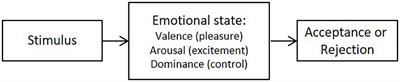 Frontiers | The Cognitive Dimension and the Affective Dimension in the ...