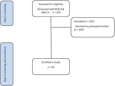 Frontiers | Identifying the Internalizing Disorder Clusters Among ...