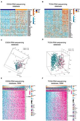 Frontiers | Integrin Beta 5 Is a Prognostic Biomarker and Potential ...