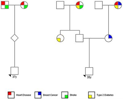 Frontiers | Utility and First Clinical Application of Screening Embryos ...