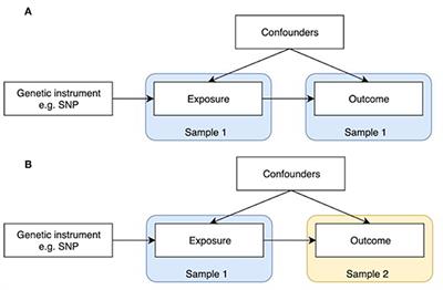 Frontiers | Use of Mendelian Randomization to Examine Causal Inference ...