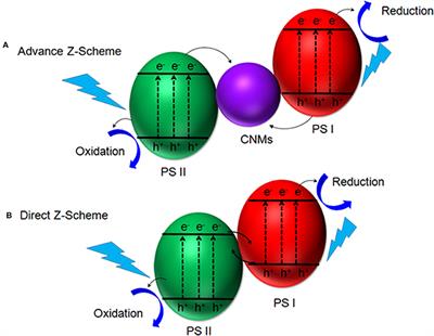 Frontiers | Carbon-Based Nanomaterials via Heterojunction Serving as ...