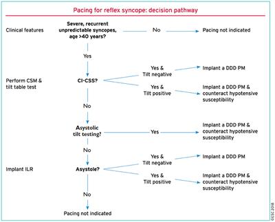 Frontiers | Pacing for Patients Suffering From Cardioinhibitory ...