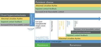 Frontiers | Hypercortisolemia Recurrence in Cushing's Disease; a ...