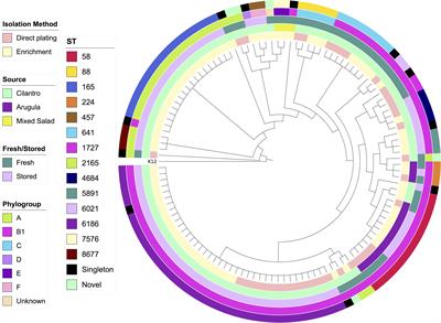 Frontiers | Whole Genome Sequencing of Escherichia coli From Store ...