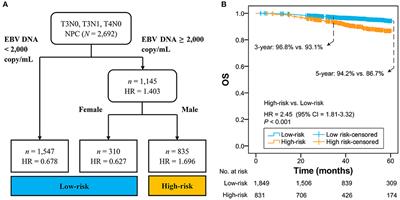 Frontiers | Selection and Validation of Induction Chemotherapy ...