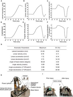 Rotational Acceleration Brain Injury