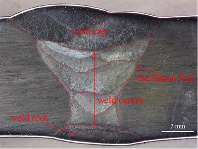 Frontiers | Microstructure and Corrosion Studies on Different Zones of ...