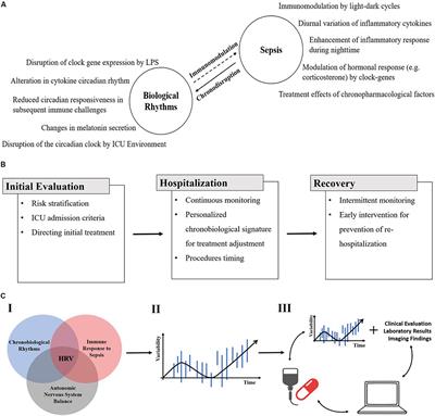 Frontiers | A Personalized Signature and Chronotherapy-Based Platform ...
