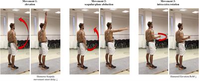 Frontiers | Fatigue-Induced Scapular Dyskinesis in Healthy Overhead ...