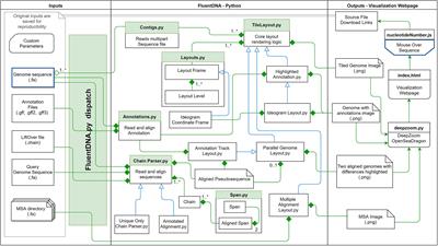 Frontiers | FluentDNA: Nucleotide Visualization of Whole Genomes ...