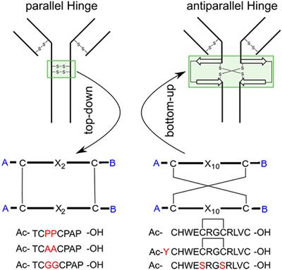 Publications 2019-2020 – molecular bionics