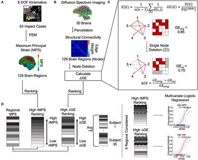 Frontiers | Predicting Concussion Outcome by Integrating Finite Element ...